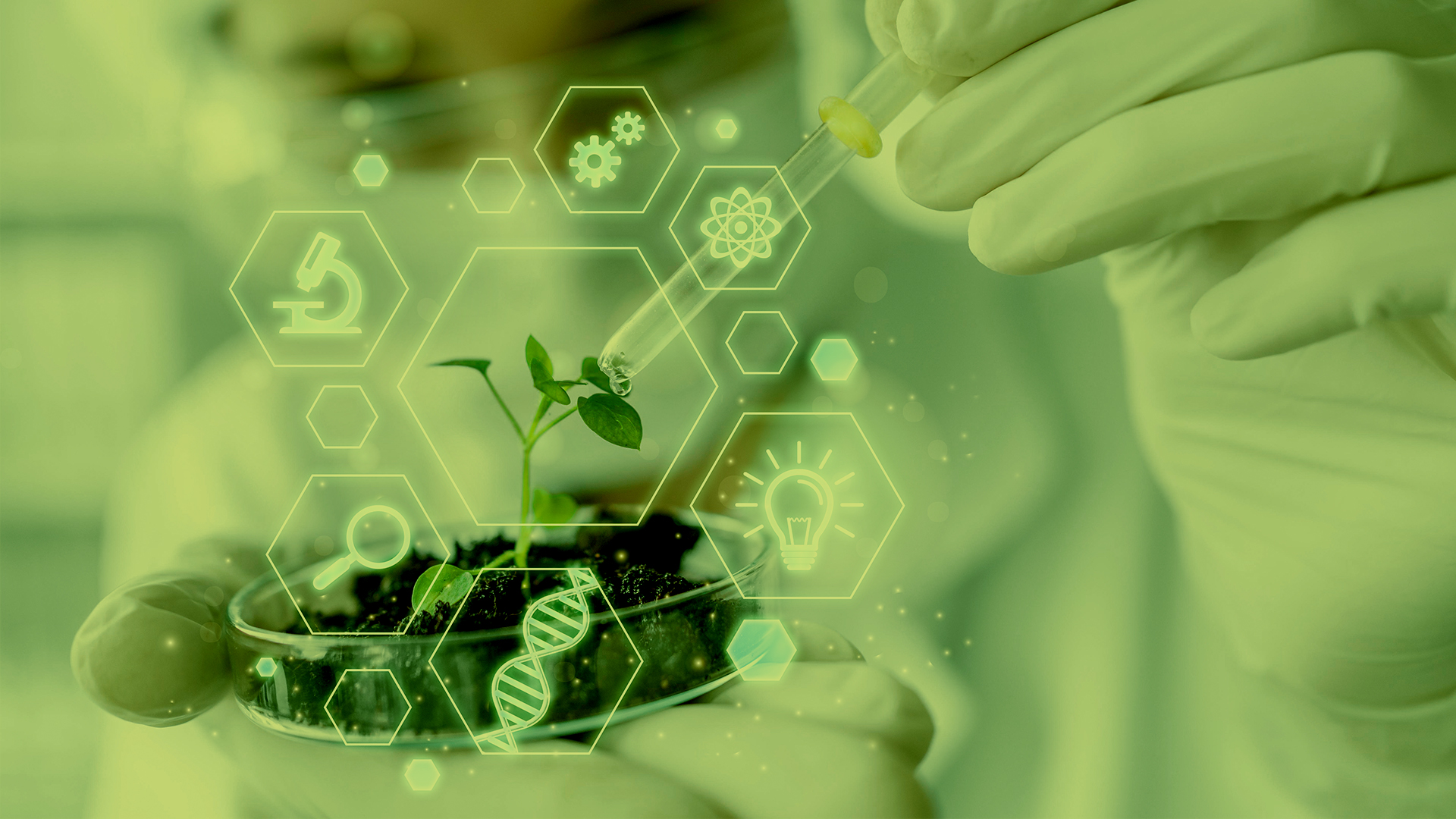 Investment – Green Pakistan Initiative