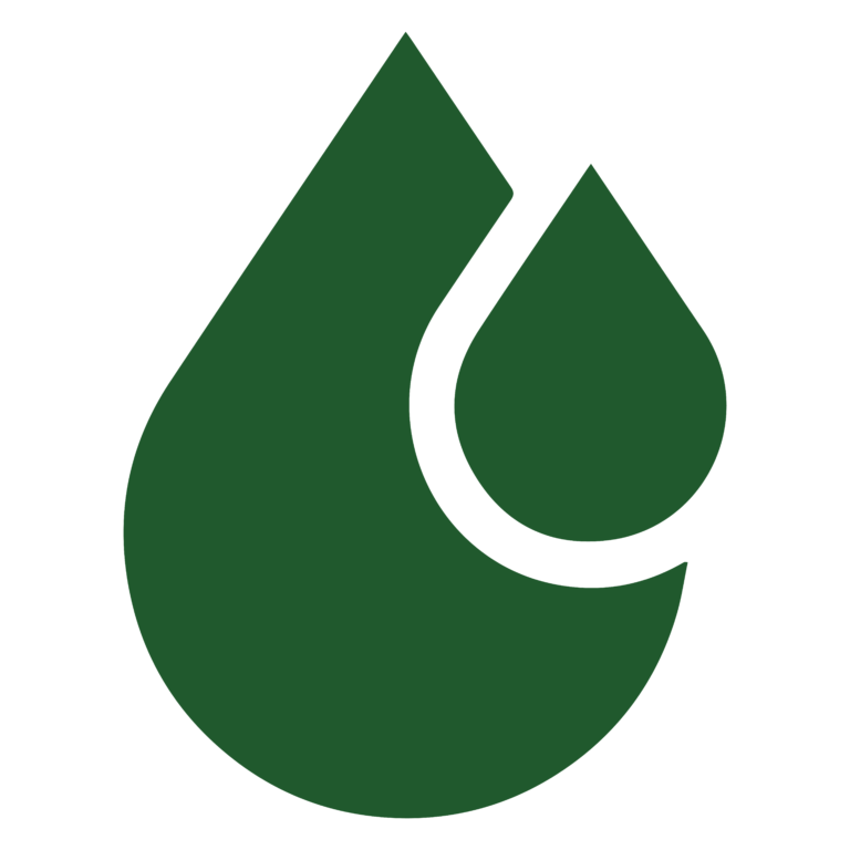 Green Pakistan Initiative – Growing a Sustainable Future