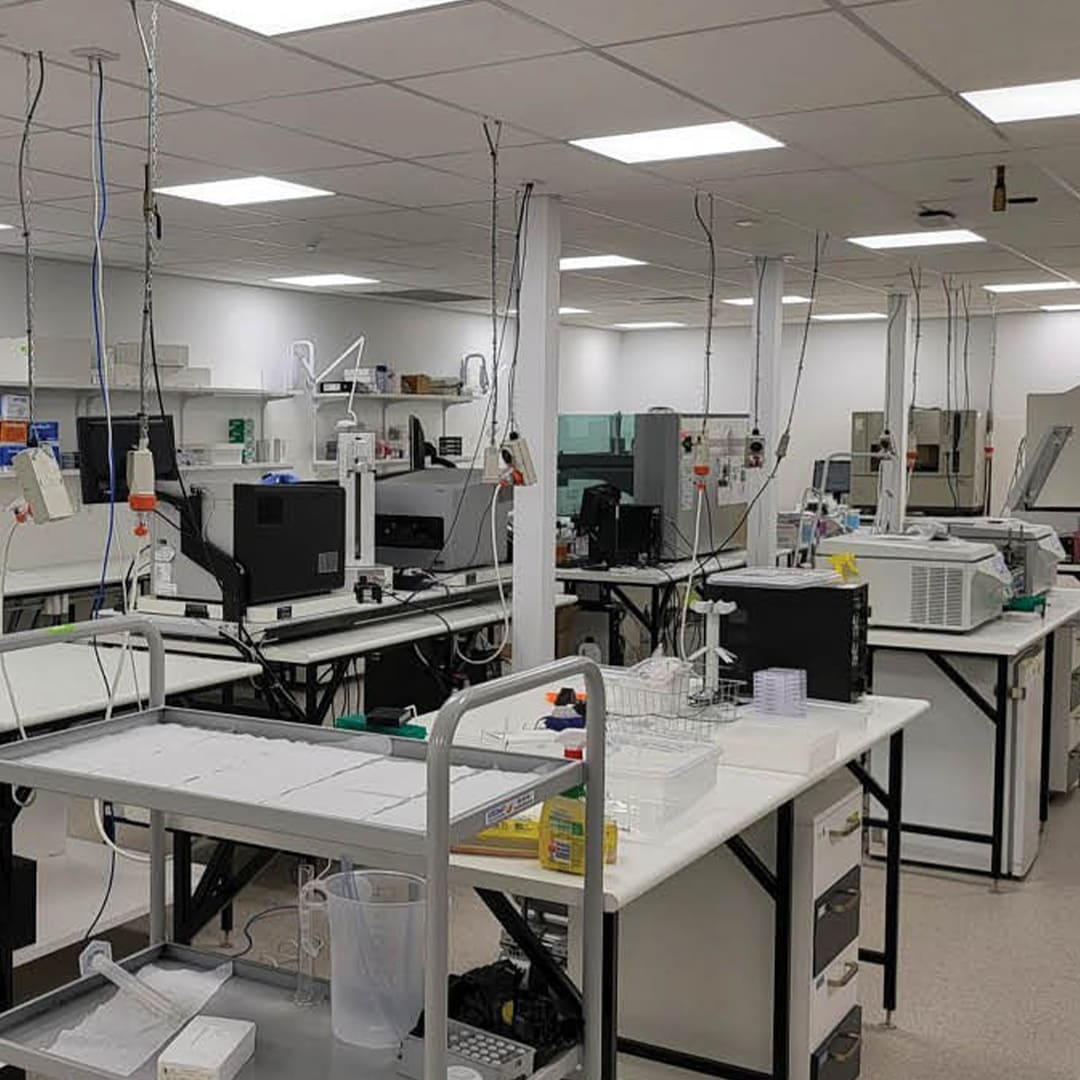 LIVESTOCK FARMING – Green Pakistan Initiative