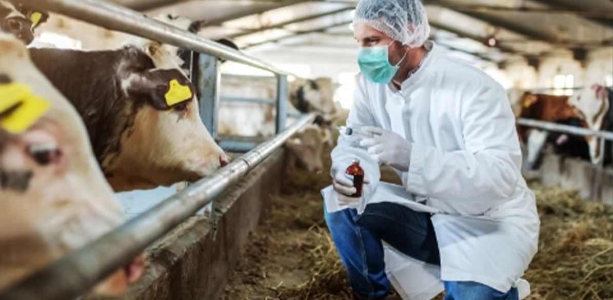 LIVESTOCK FARMING – Green Pakistan Initiative